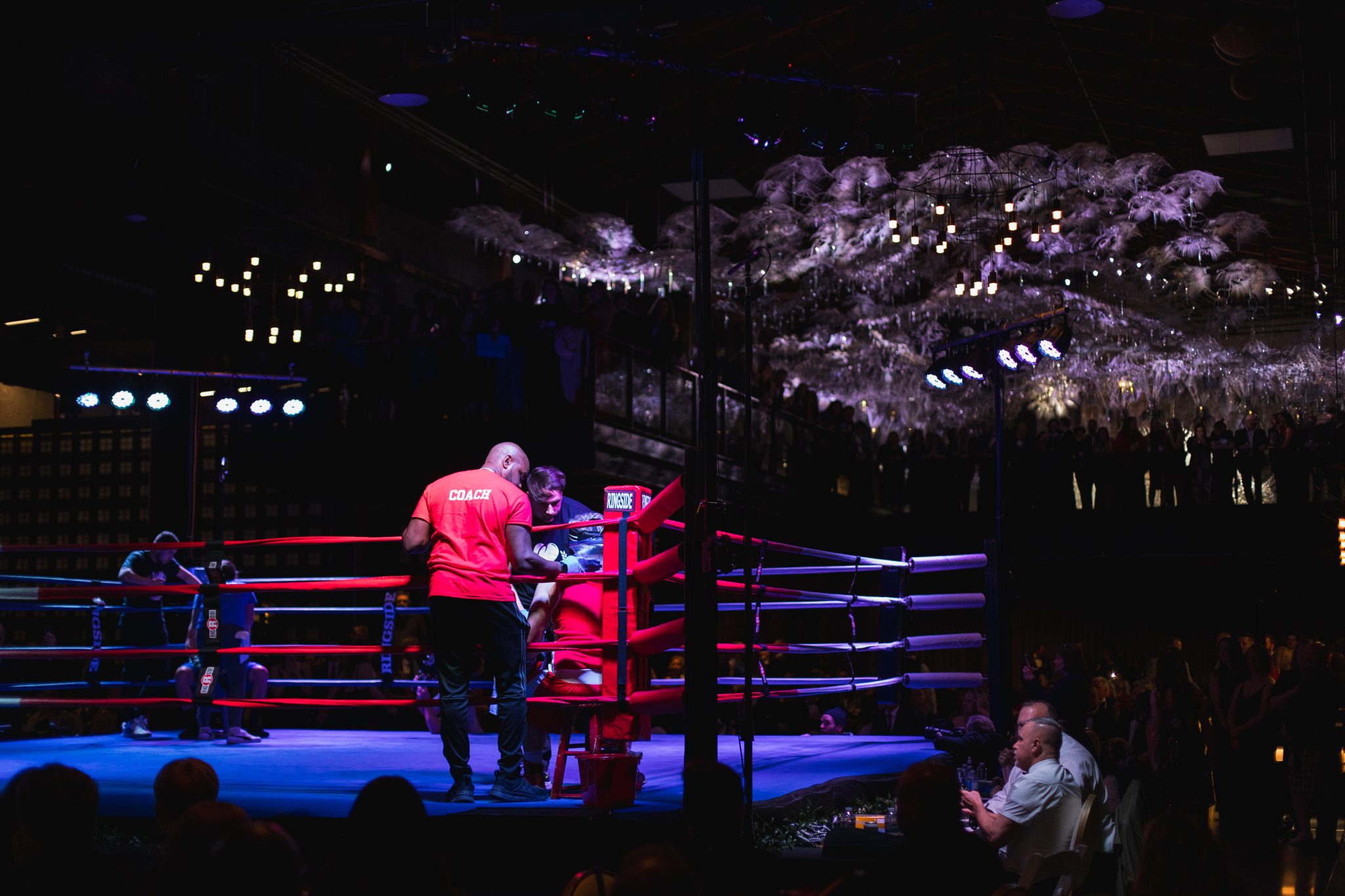 KNOCKOUT NIGHT! – Champions for Charity | Kitchener-Waterloo Charity ...